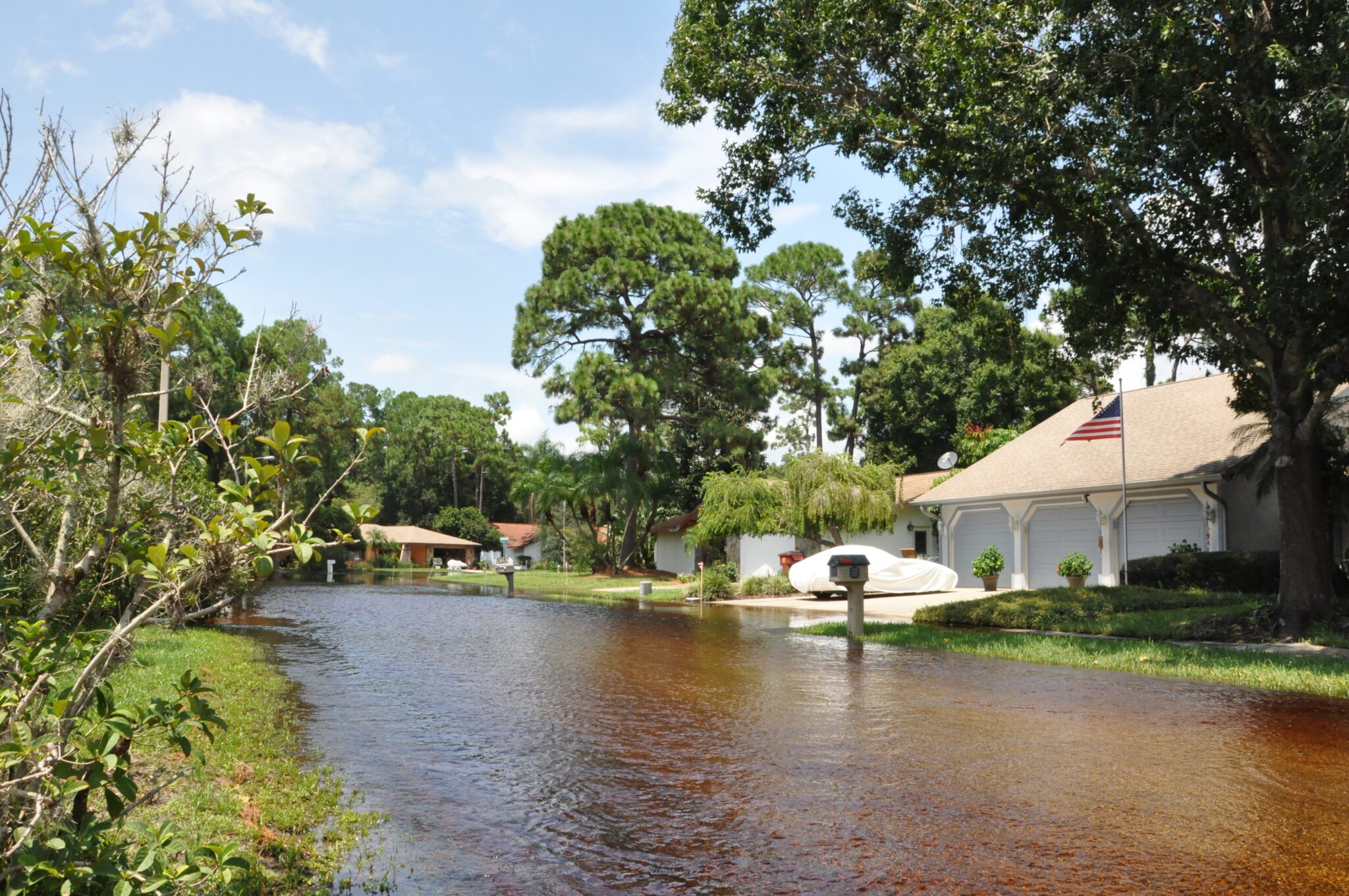 Construction in a Floodplain - Pinellas County