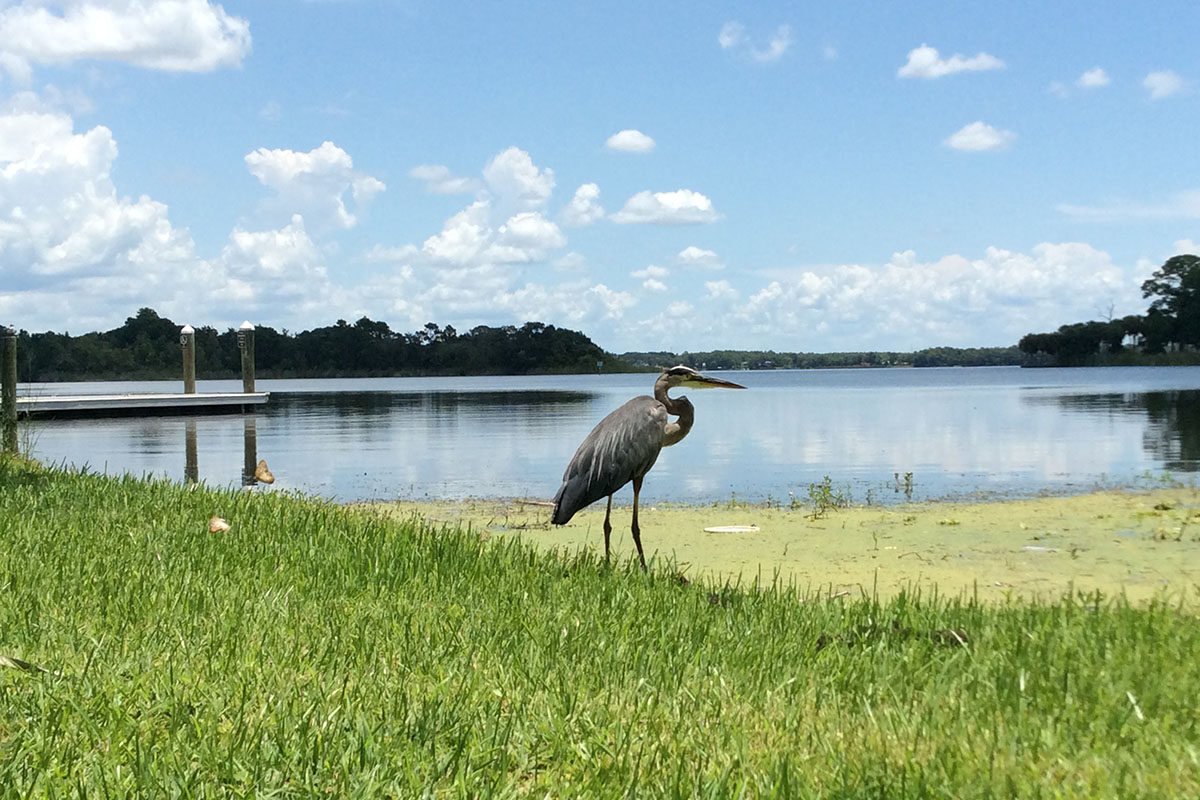 A.L. Anderson Park - Pinellas County