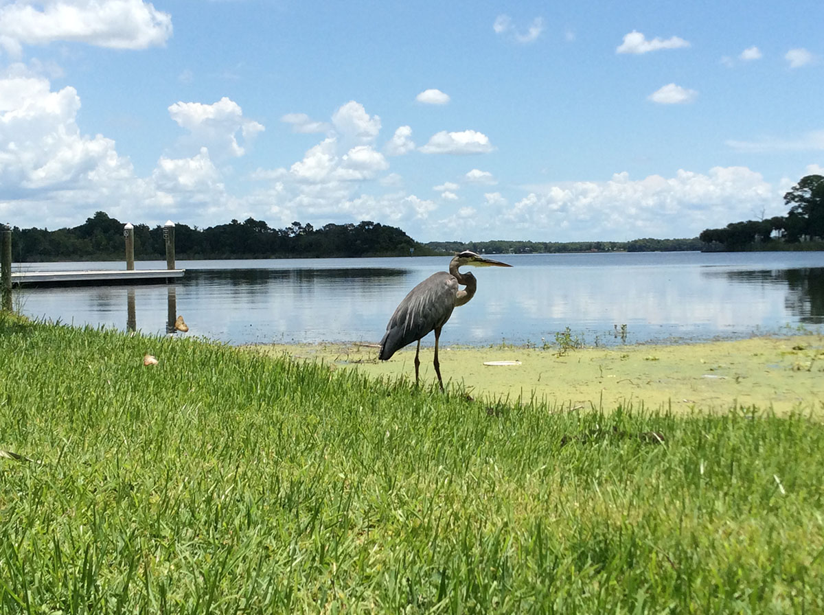 A.L. Anderson Park - Pinellas County