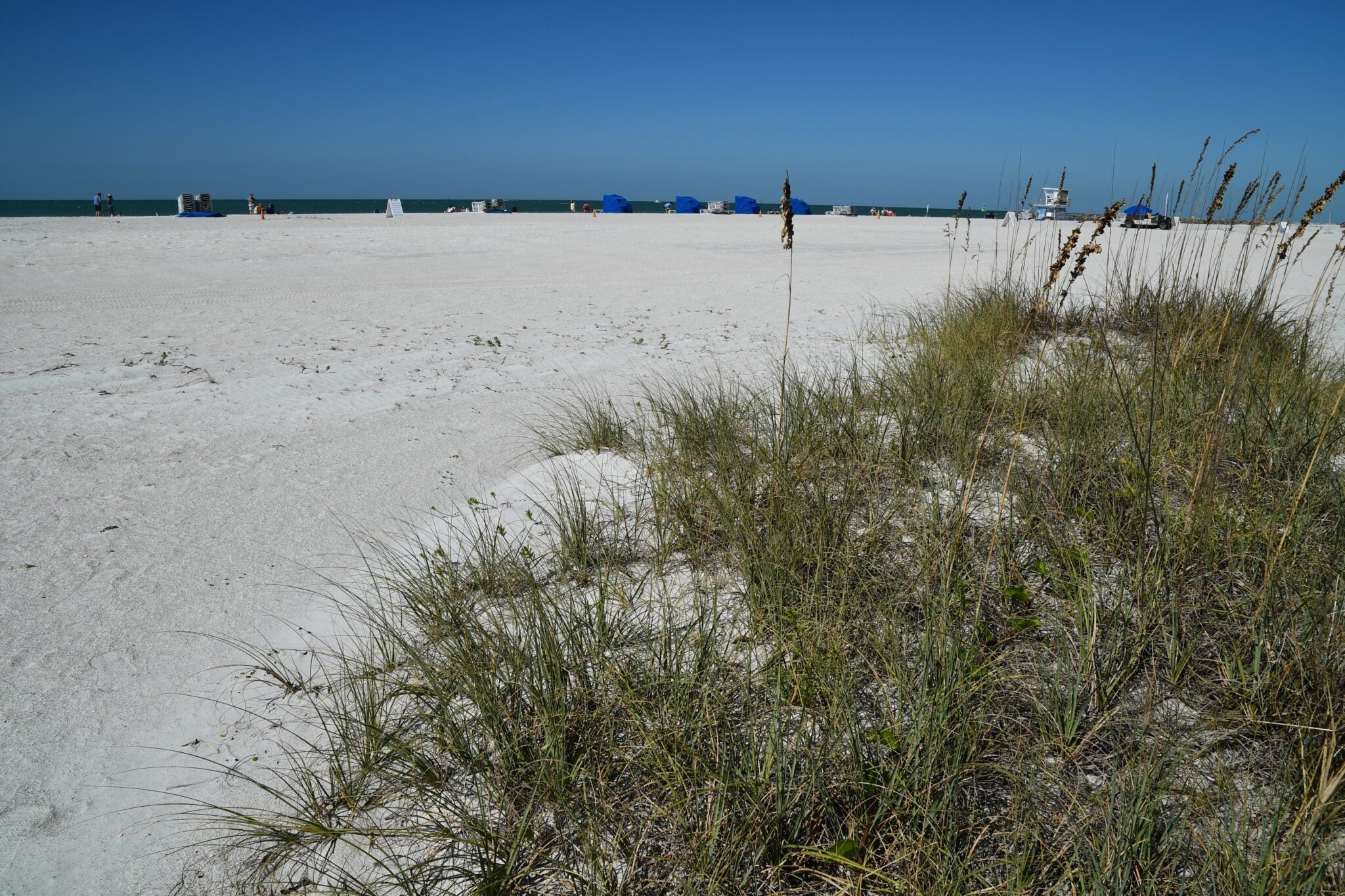 Sand Key Park - Pinellas County