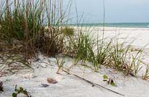 Shell Key Preserve - Pinellas County