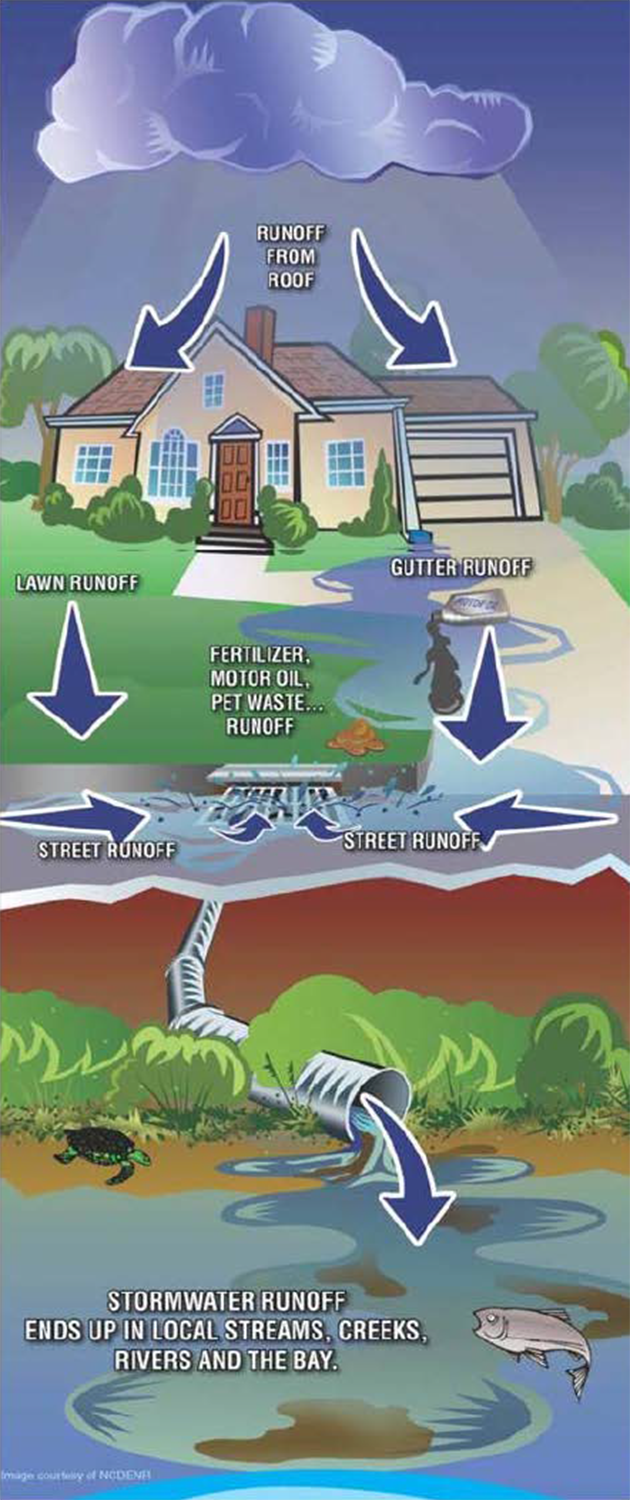Stormwater Runoff Pinellas County Stormwater Runoff Pinellas County