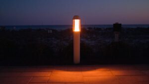 Sea Turtle Protection - Pinellas County