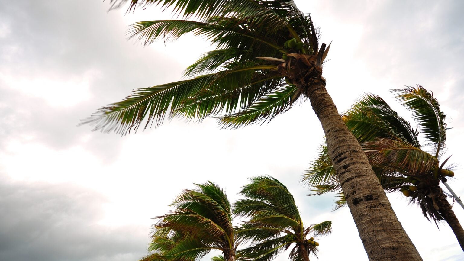 Pinellas County Emergency Management shares three key steps as ...