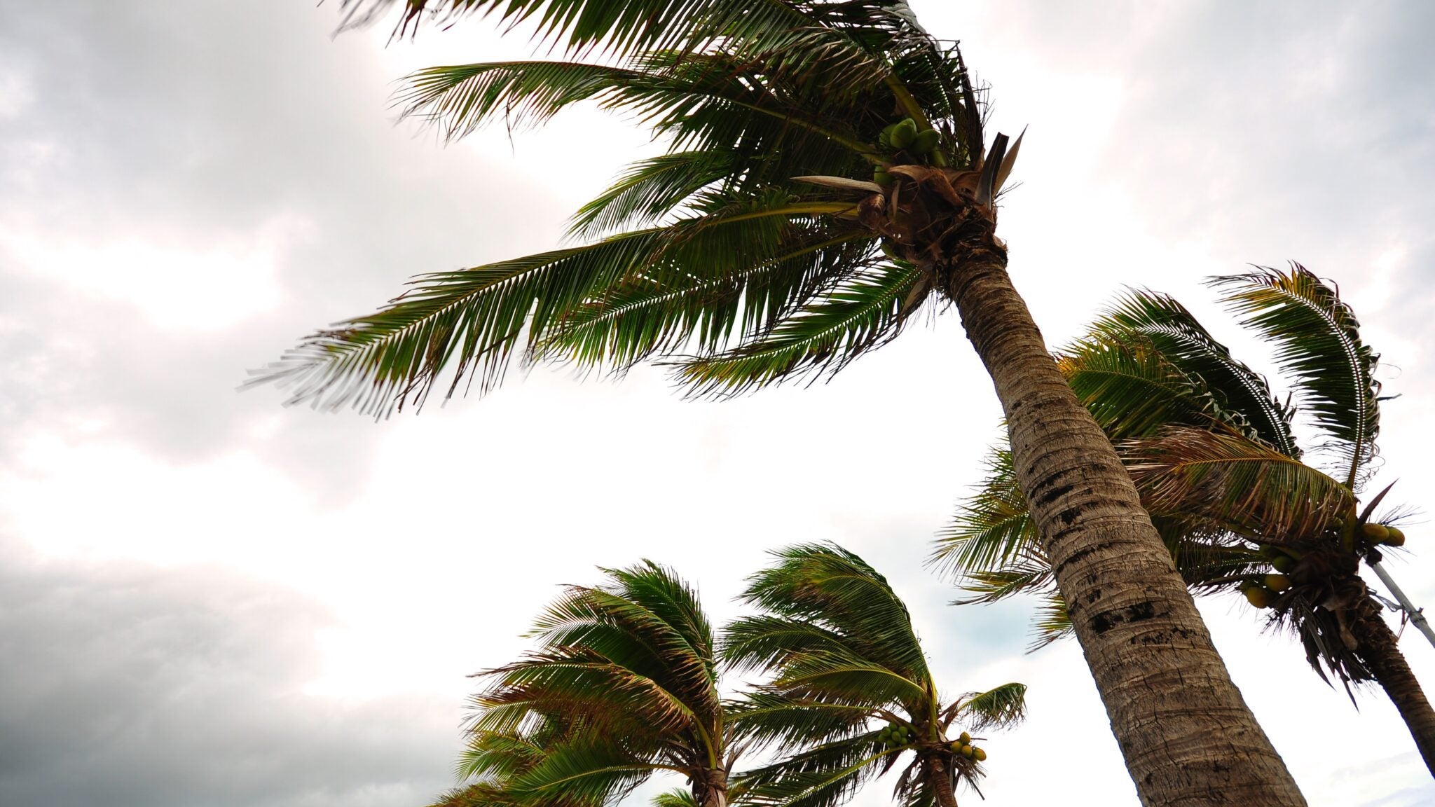 Pinellas County Emergency Management shares three key steps as ...