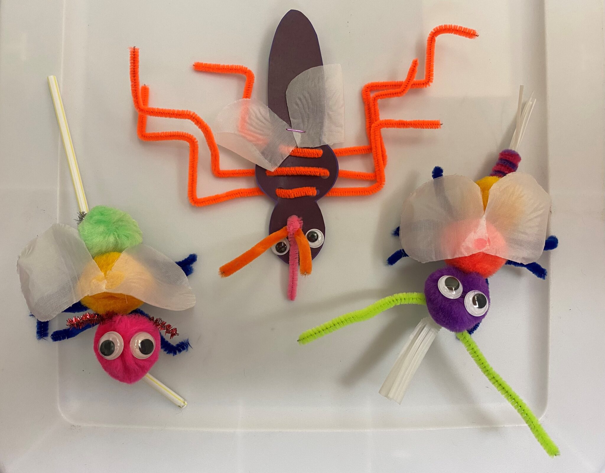 Mosquito Control Community Education and Outreach Services - Pinellas ...