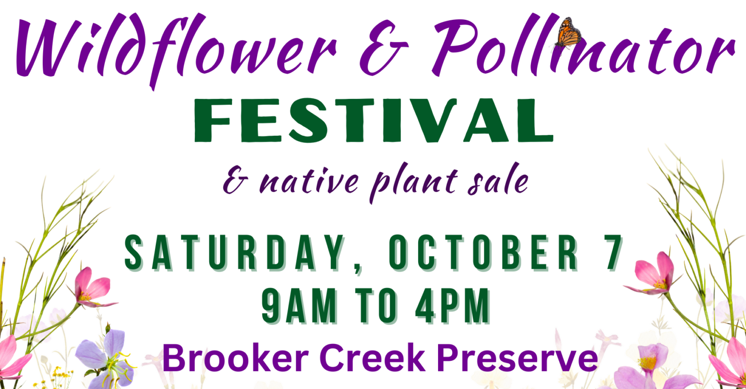 Wildflower & Pollinator Festival - Pinellas County