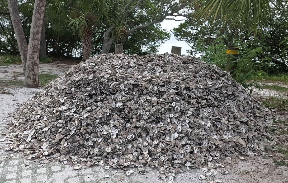 Oyster Shell Recycling Pilot Program - Pinellas County