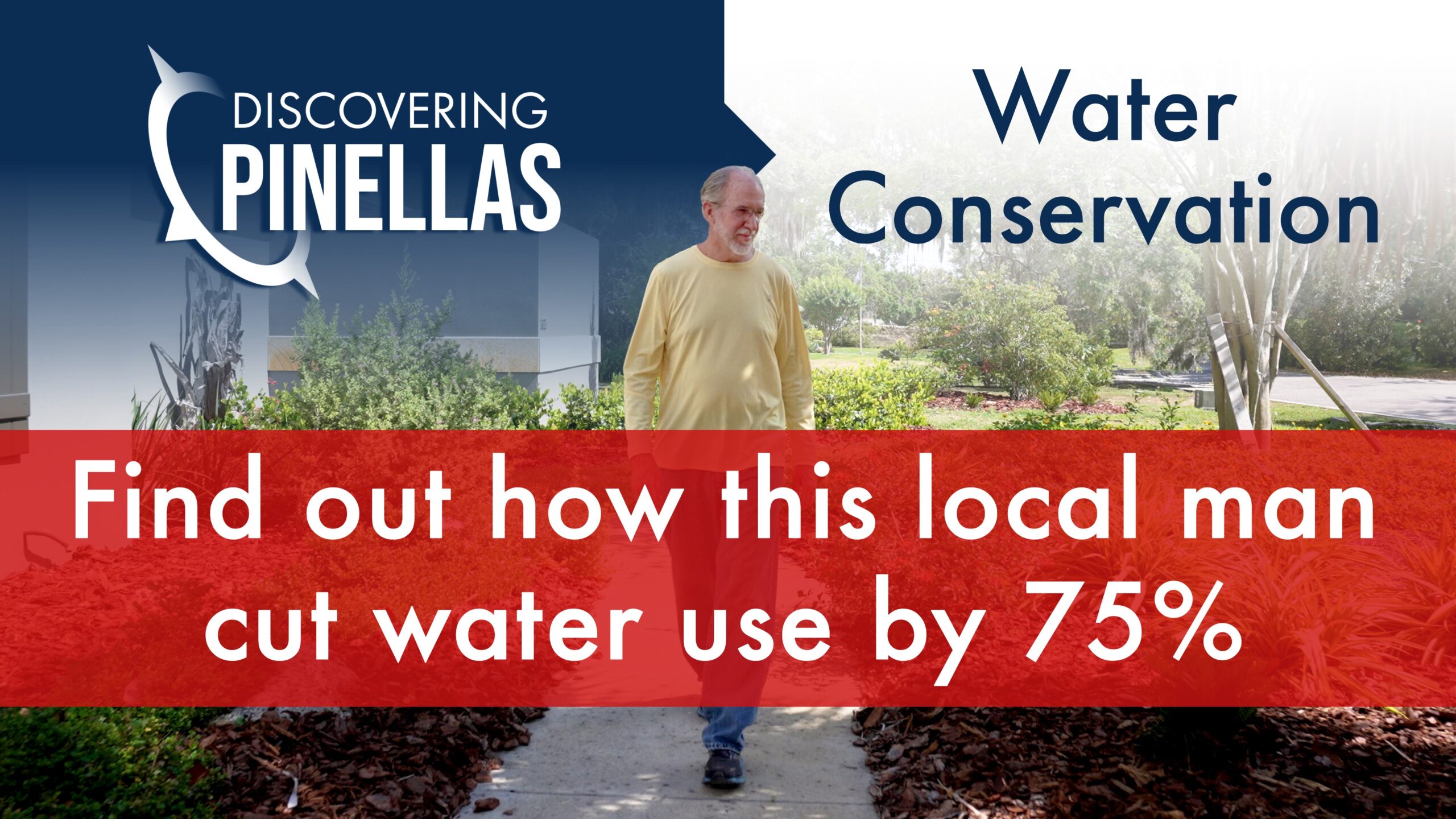 The Wave - Pinellas County