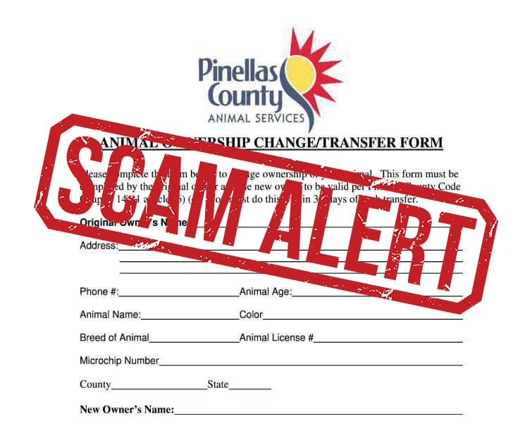 Consumer Alert: Puppy scammers using old Animal Services form ...