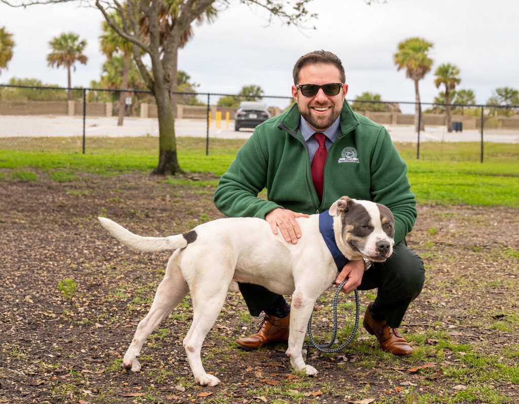 The Wave - Pinellas County