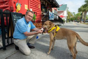 The Wave - Pinellas County