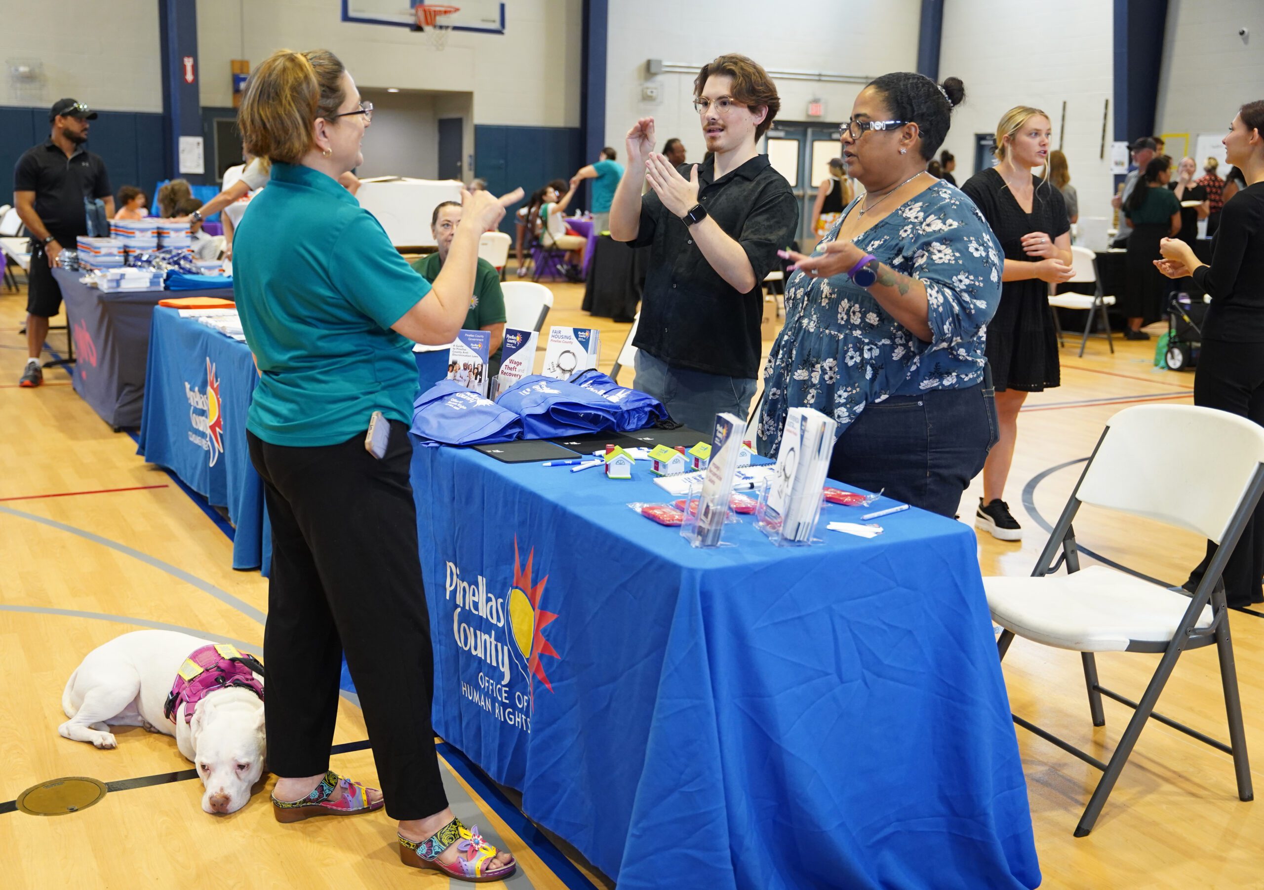 The Wave - Pinellas County